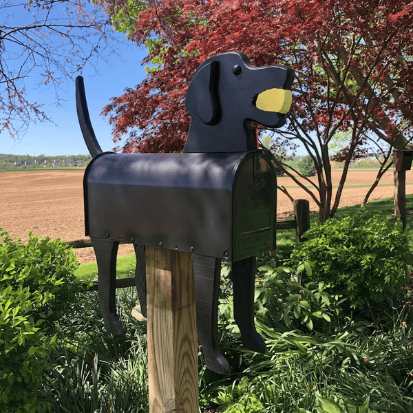 📮FARM ANIMAL MAILBOXES📮 – superbcert